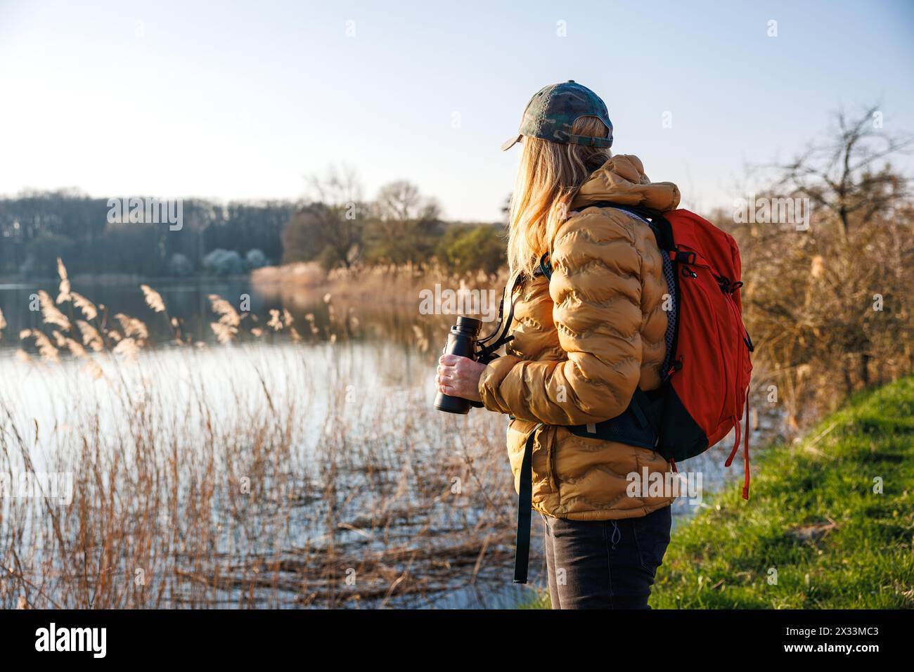 Woman biologist is watching birds with binoculars. Bird watching and ...