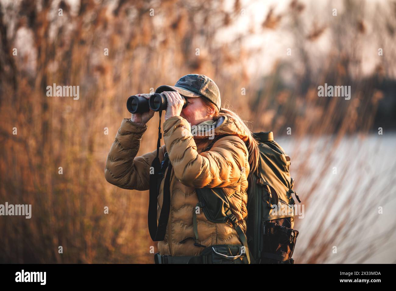 Bird watching. Woman ornithologist with binoculars observes water birds ...