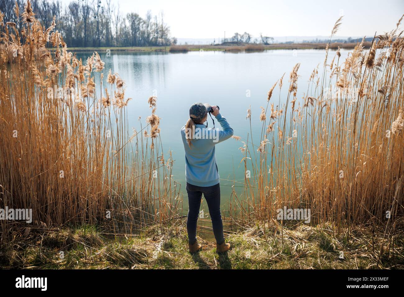 Birdwatching in nature hi-res stock photography and images - Alamy