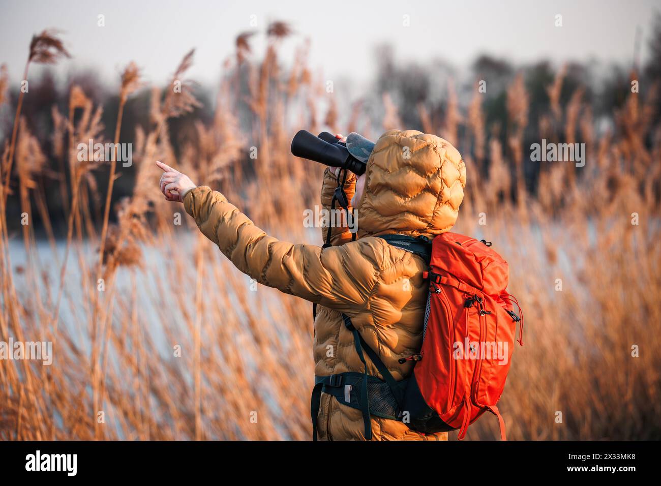 Woman naturalist with binoculars is looking for animals and birds at ...