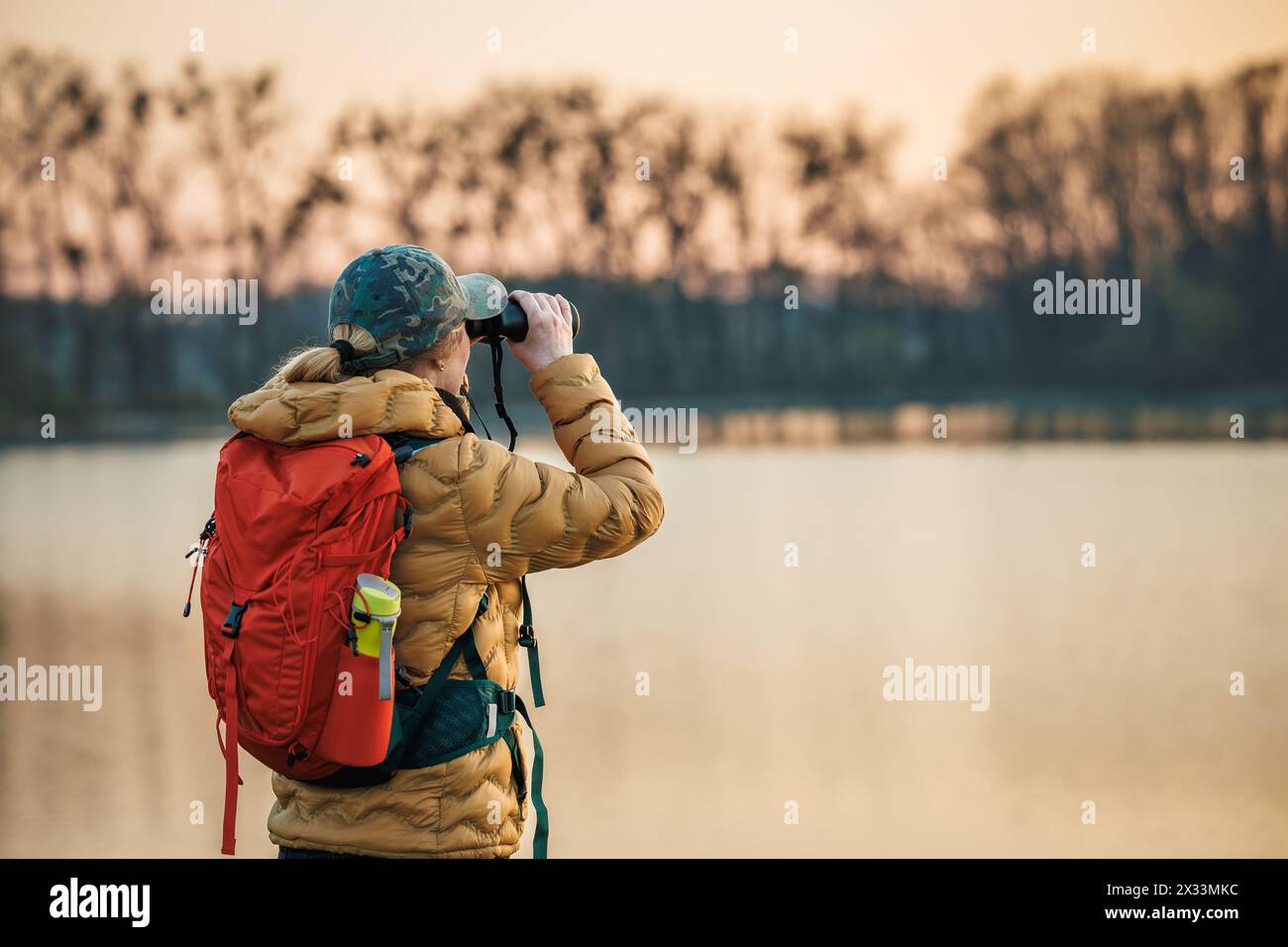 Bird watching and wildlife observation. Woman with binoculars is ...