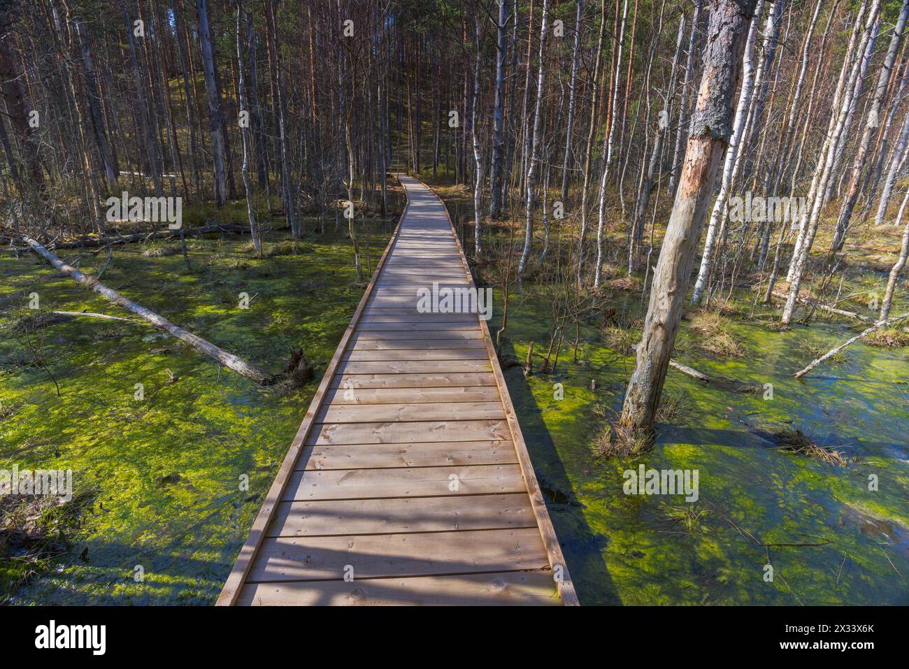 Viru peat bog in hi-res stock photography and images - Alamy