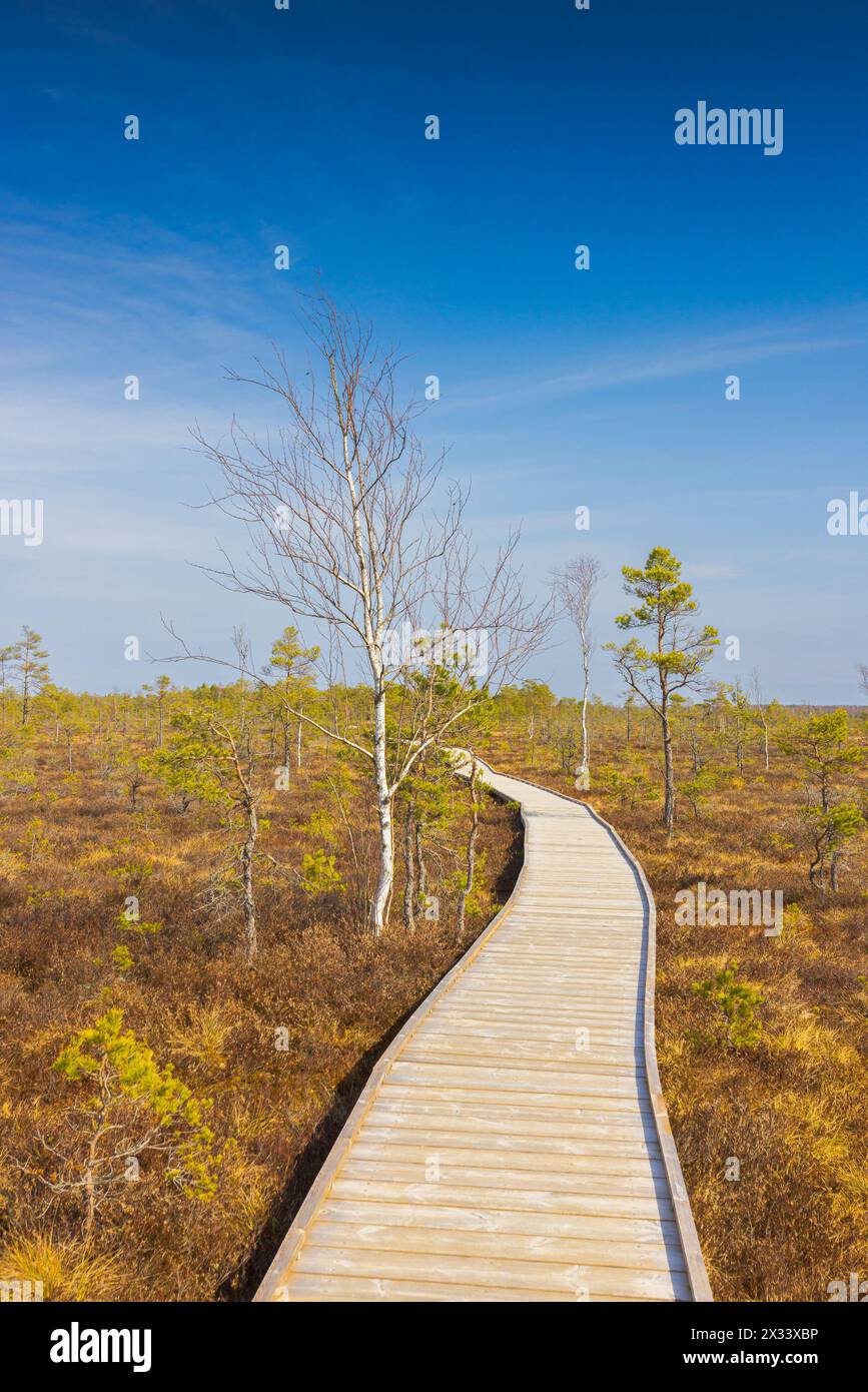 Viru Bog Viru Raba peat swamp, Estonia Stock Photo - Alamy