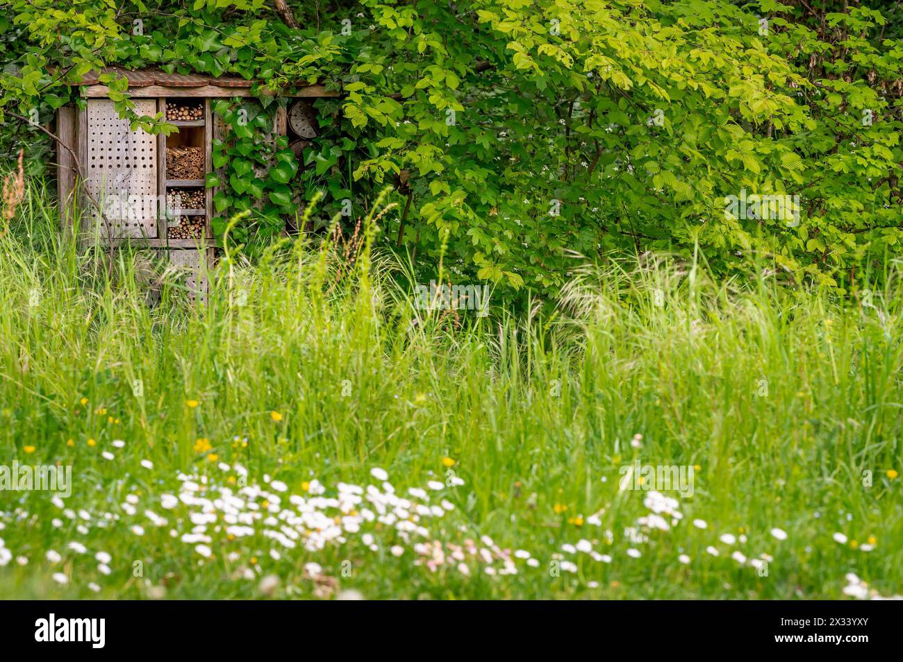 One wooden insect house in the garden. Bug hotel at the park with ...