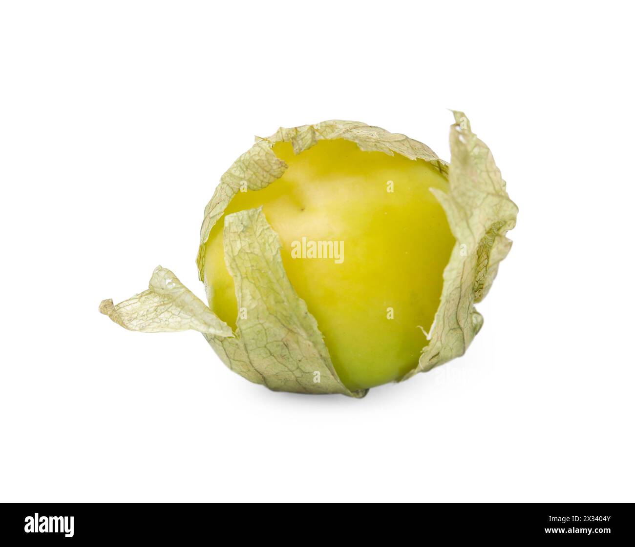 Fresh green tomatillo with husk isolated on white Stock Photo - Alamy