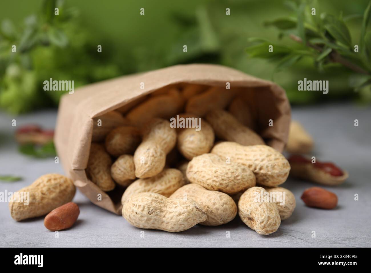 Paper bag with fresh unpeeled peanuts on grey table against blurred ...