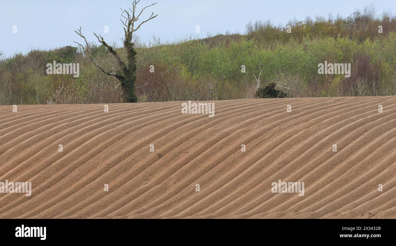 Spring kircubbin hi-res stock photography and images - Alamy