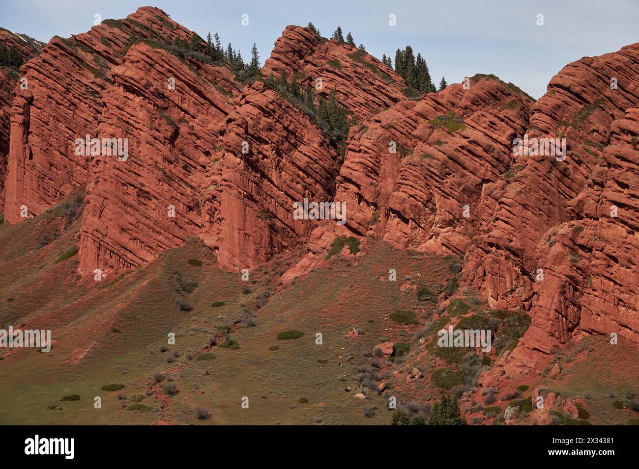 Red rocks seven oxen, coniferous trees on top of rock, 7 bulls, gorge ...
