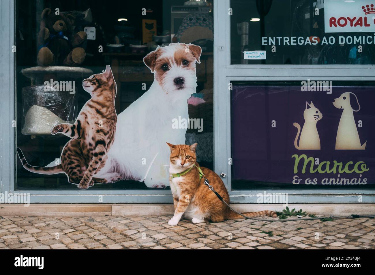 Travelpictures Lisbon Lisbon, Lissabon, 22.03.2024: Travelpictures ...