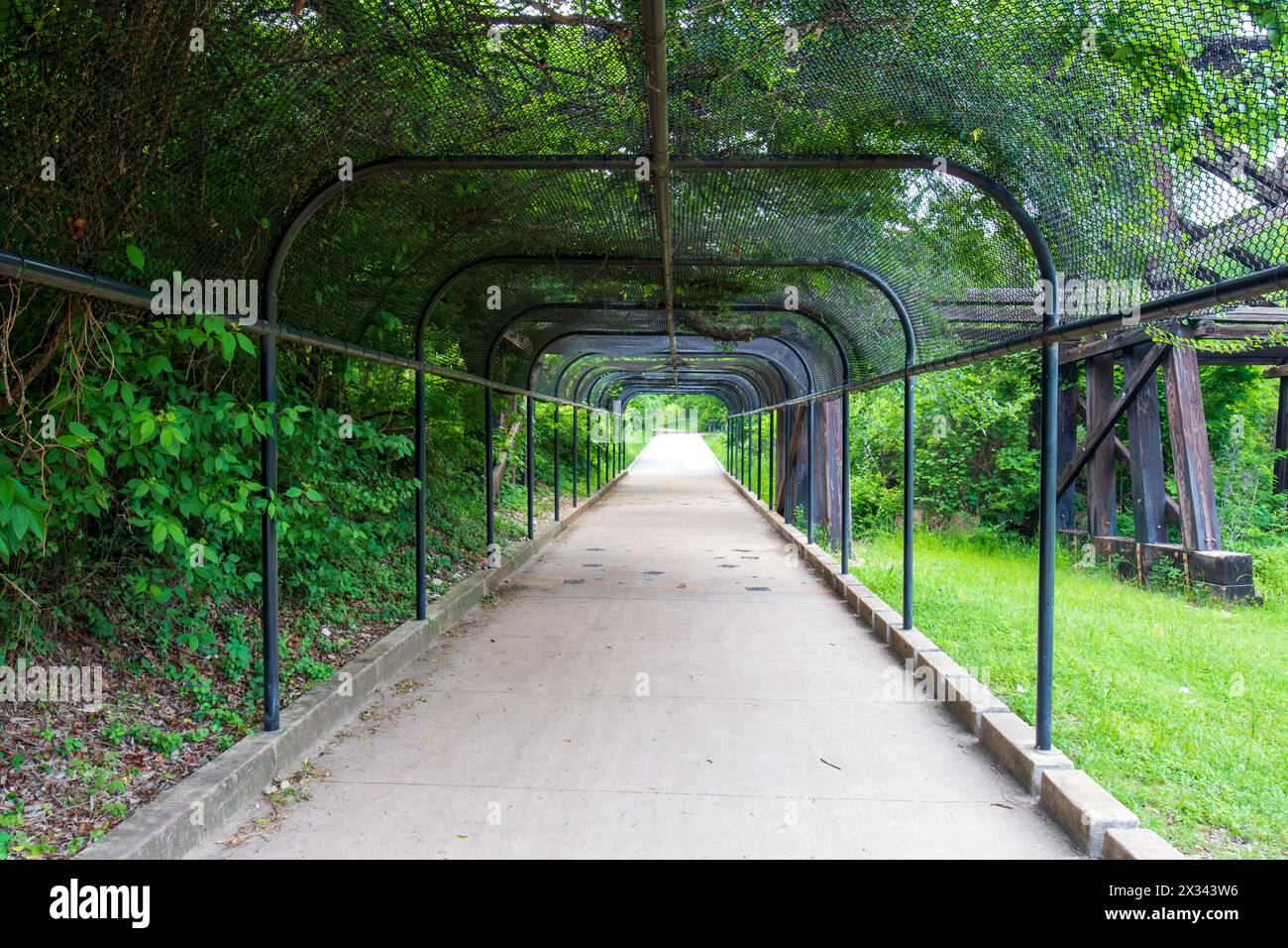 A covered walkway stretches into the distance, flanked by green foliage ...