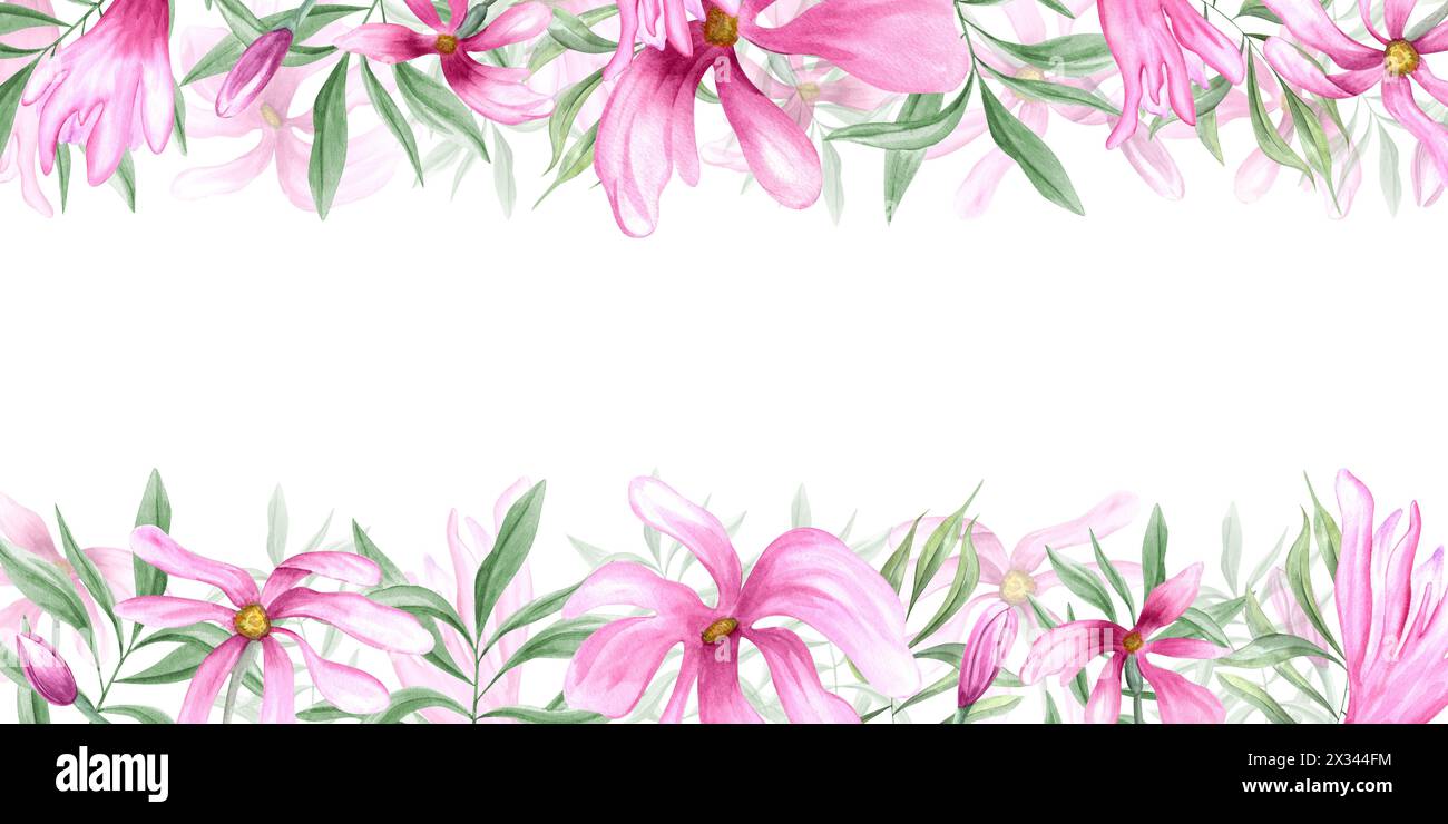 Spring delicate pink flowers. Horizontal long frame of magnolia flowers ...