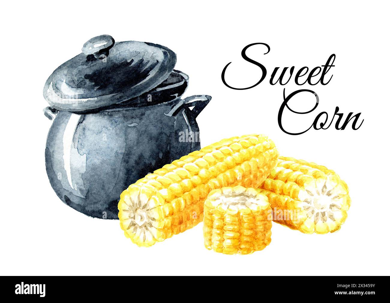 Boiled sweet corn. Hand drawn watercolor illustration isolated on white ...