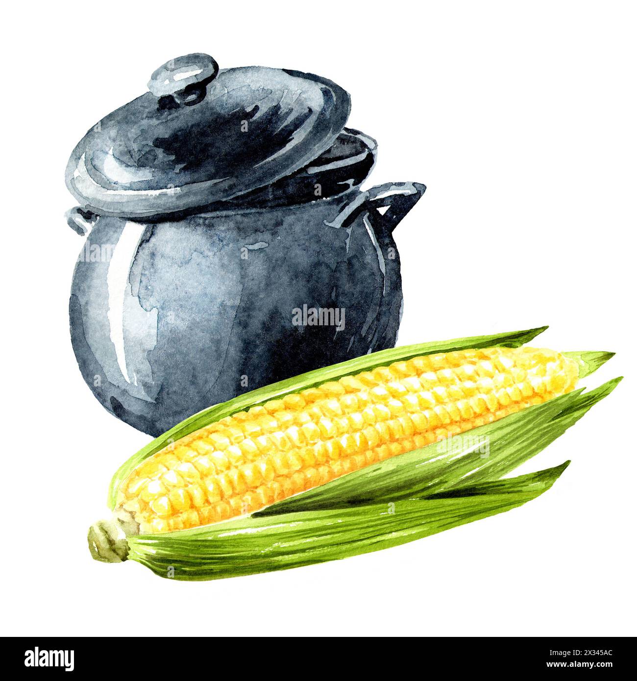 Boiled sweet corn. Hand drawn watercolor illustration, isolated on ...