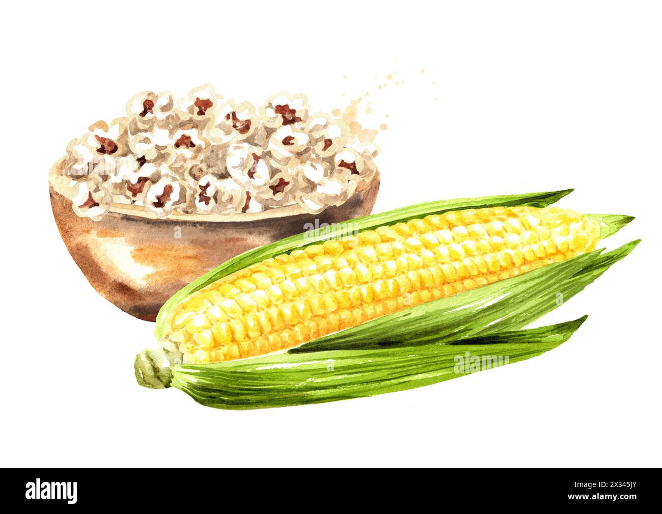 Bowl with popcorn and fresh corn comb. Hand drawn watercolor ...