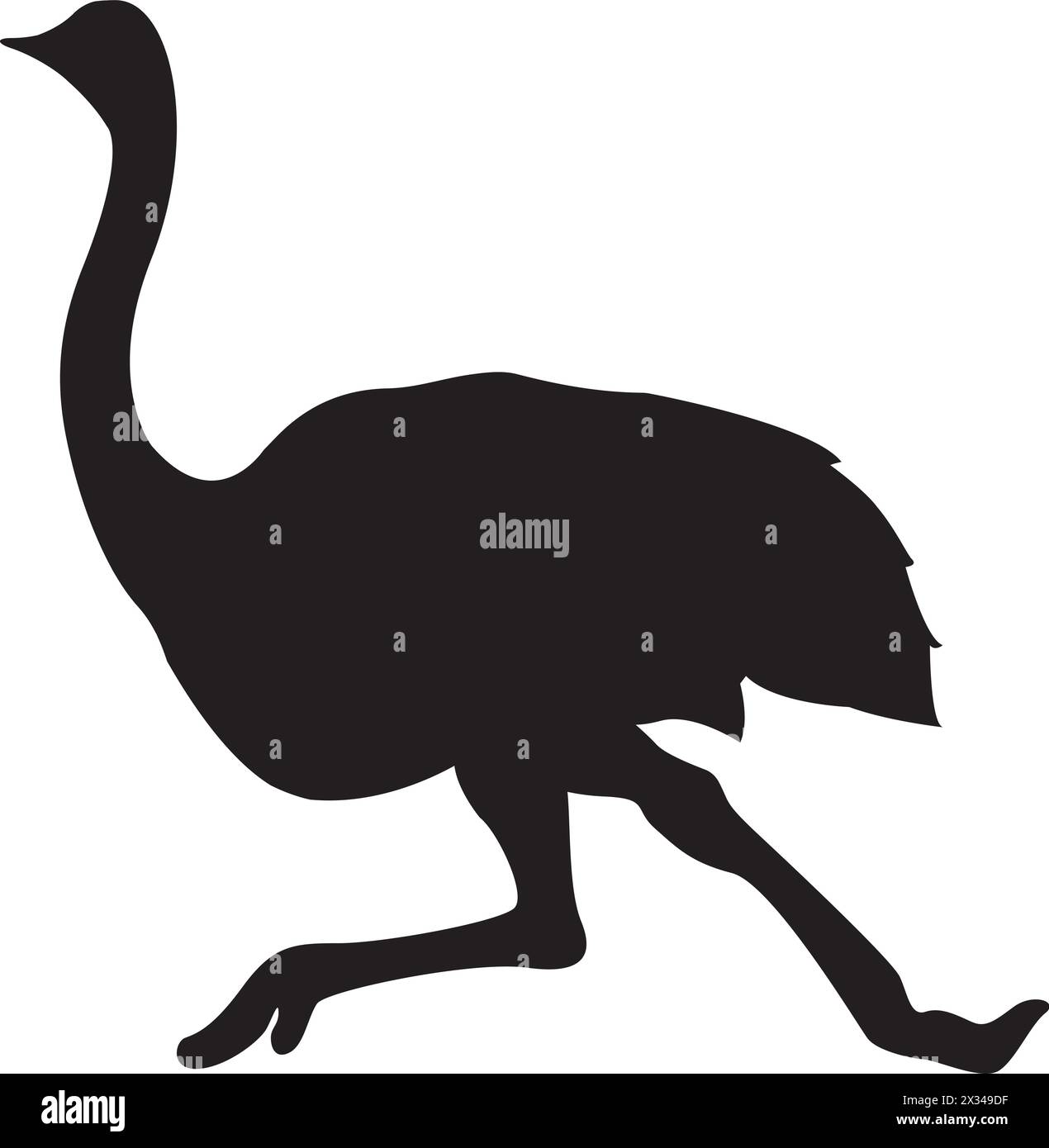 Speed going rhea pet isolated on white background. Dark ink hand drawn ...