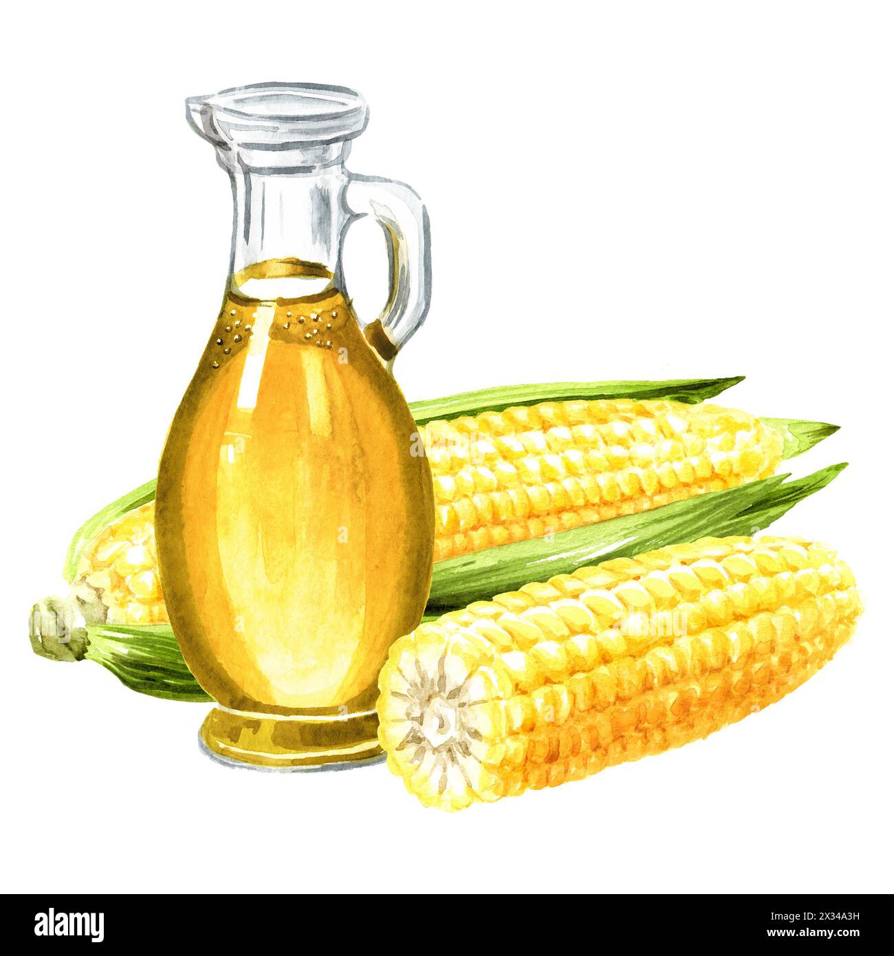 Glass bottle with corn oil. Hand drawn watercolor illustration ...
