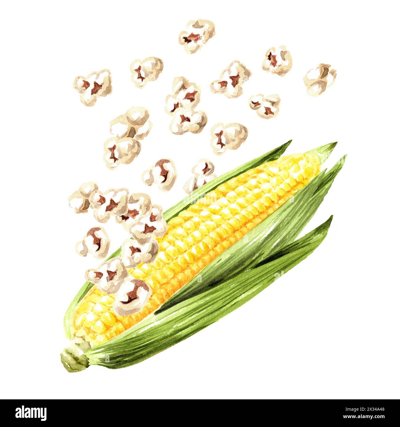 Popcorn and fresh corn comb. Hand drawn watercolor illustration ...