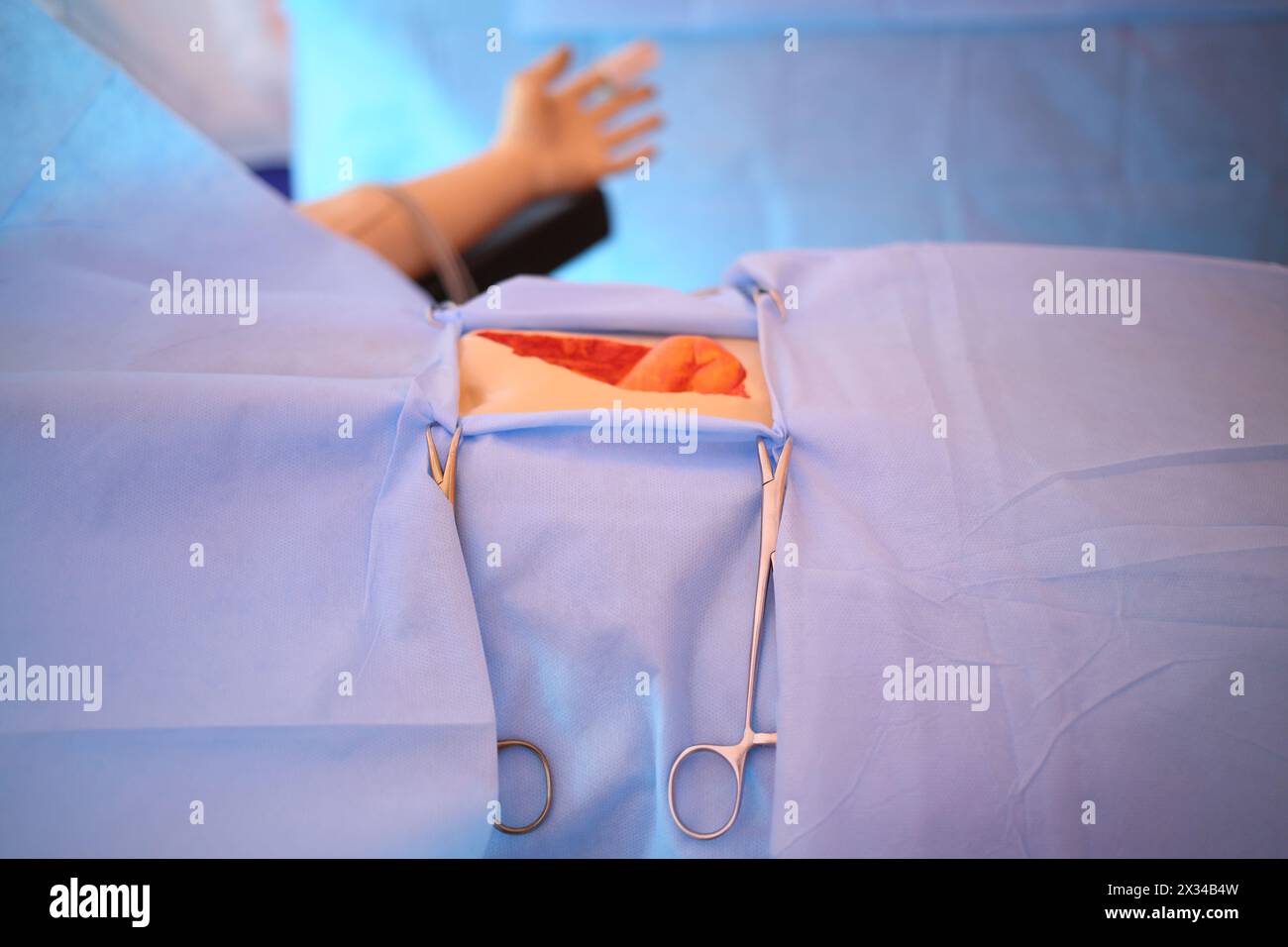 Dummy opening the abdomen, close-up. Focus on the cut Stock Photo - Alamy
