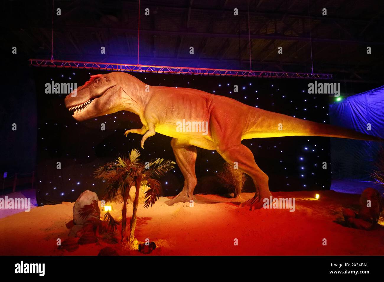 MOSCOW - JAN 30, 2015: Tyrannosaurus Rex at Show of dinosaurs in ...