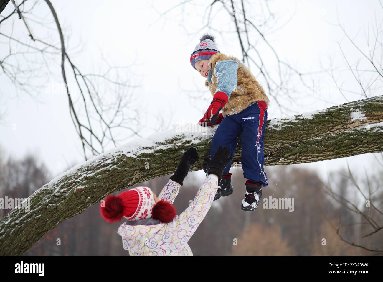 Little boy climbs down tree branch and mother catches him in winter ...