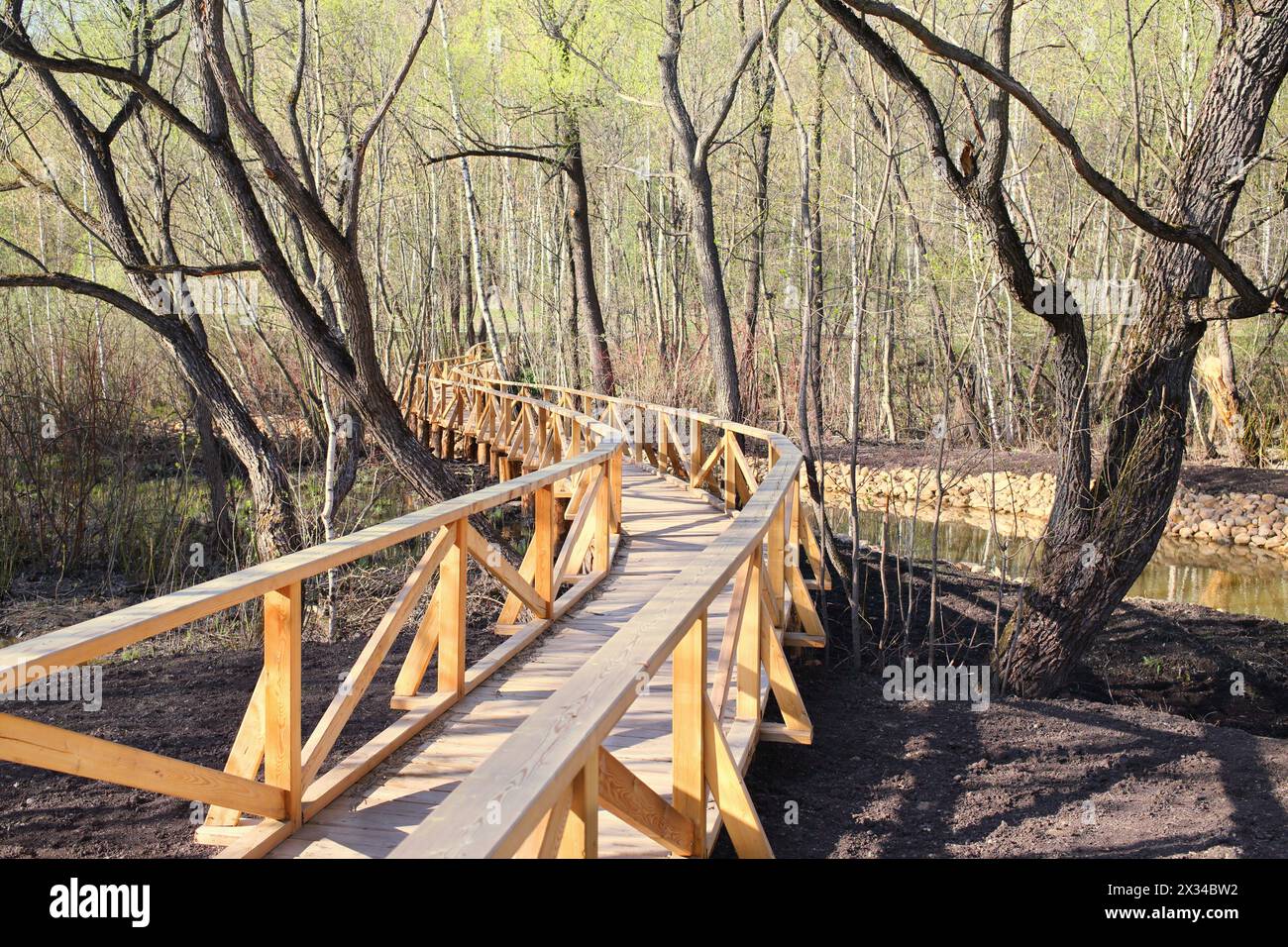 Winding pedestrian wooden bridge in the park in spring Stock Photo - Alamy