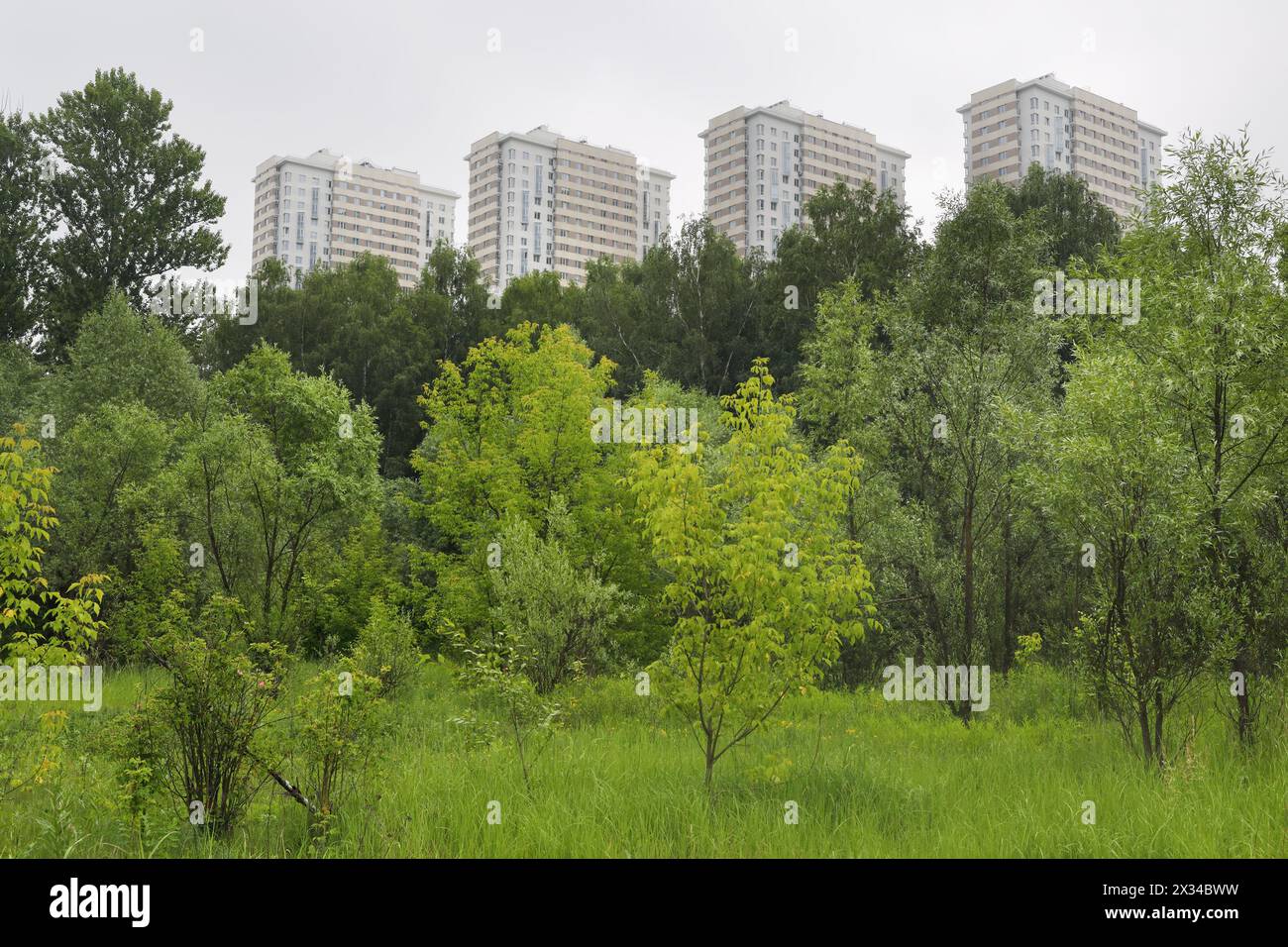urban forest with trees and shrubs around residential complex with high ...