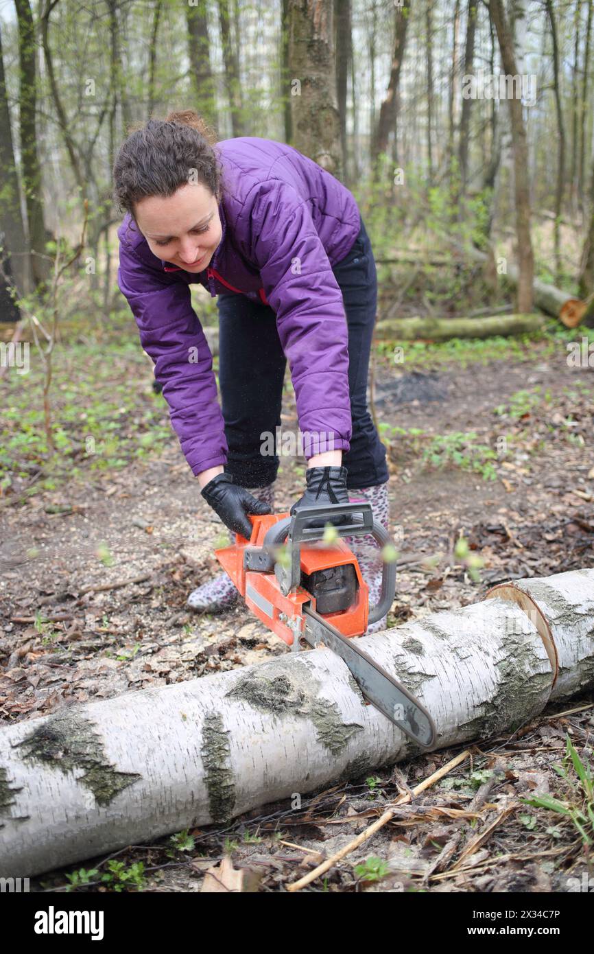 Woman sawing birch trunk using a chainsaw in the forest Stock Photo - Alamy