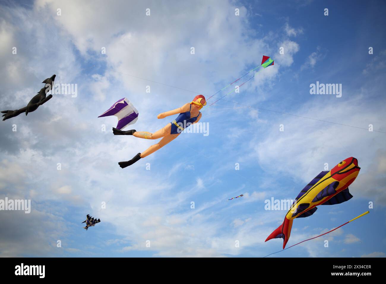 Modern kites hi-res stock photography and images - Alamy