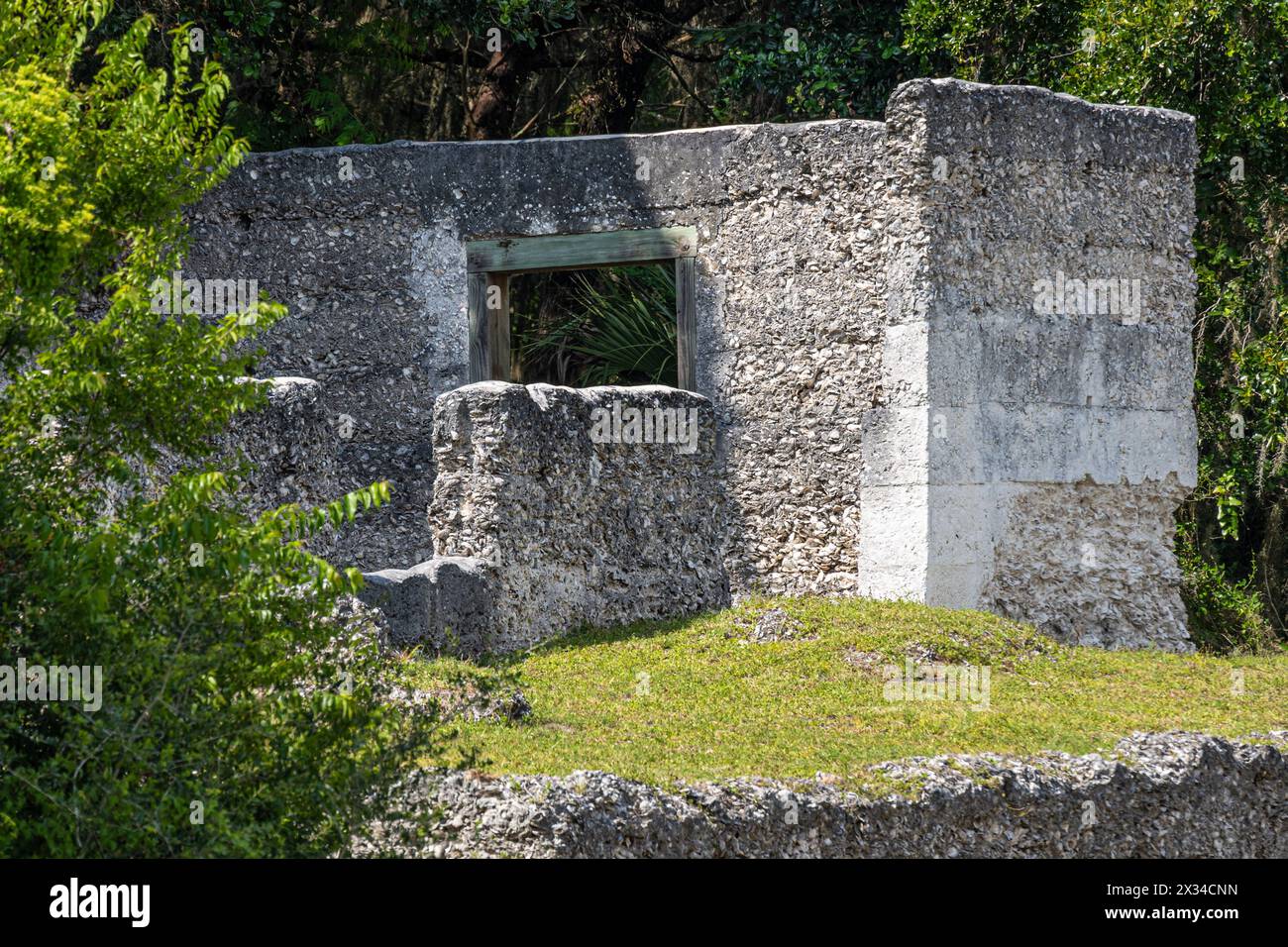 Fort george island shells hi-res stock photography and images - Alamy