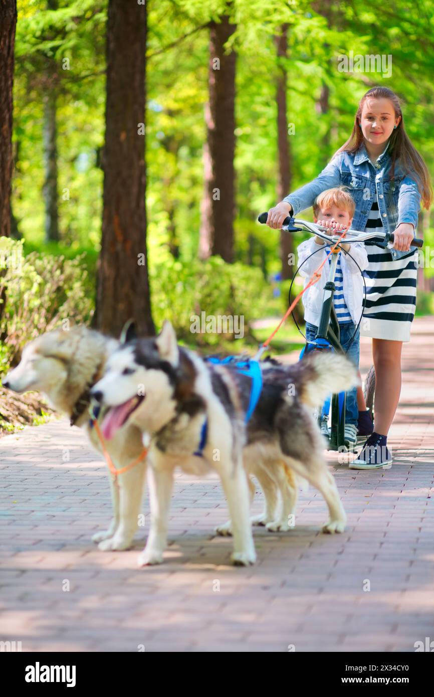 Teen girl and dogs walking hi-res stock photography and images - Alamy