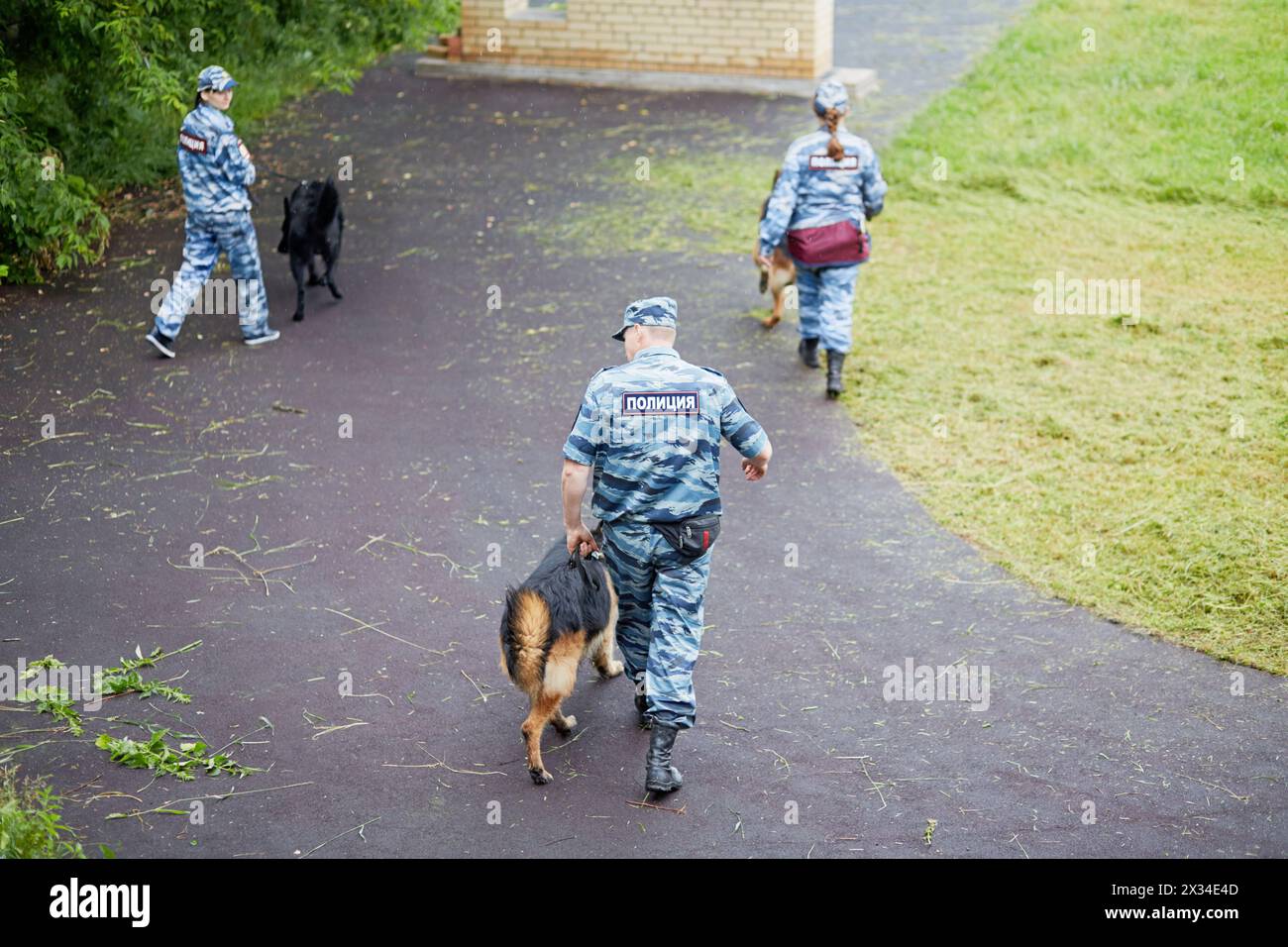 MOSCOW, RUSSIA - JUN 26, 2015: Group of policemen with dogs cross the ...