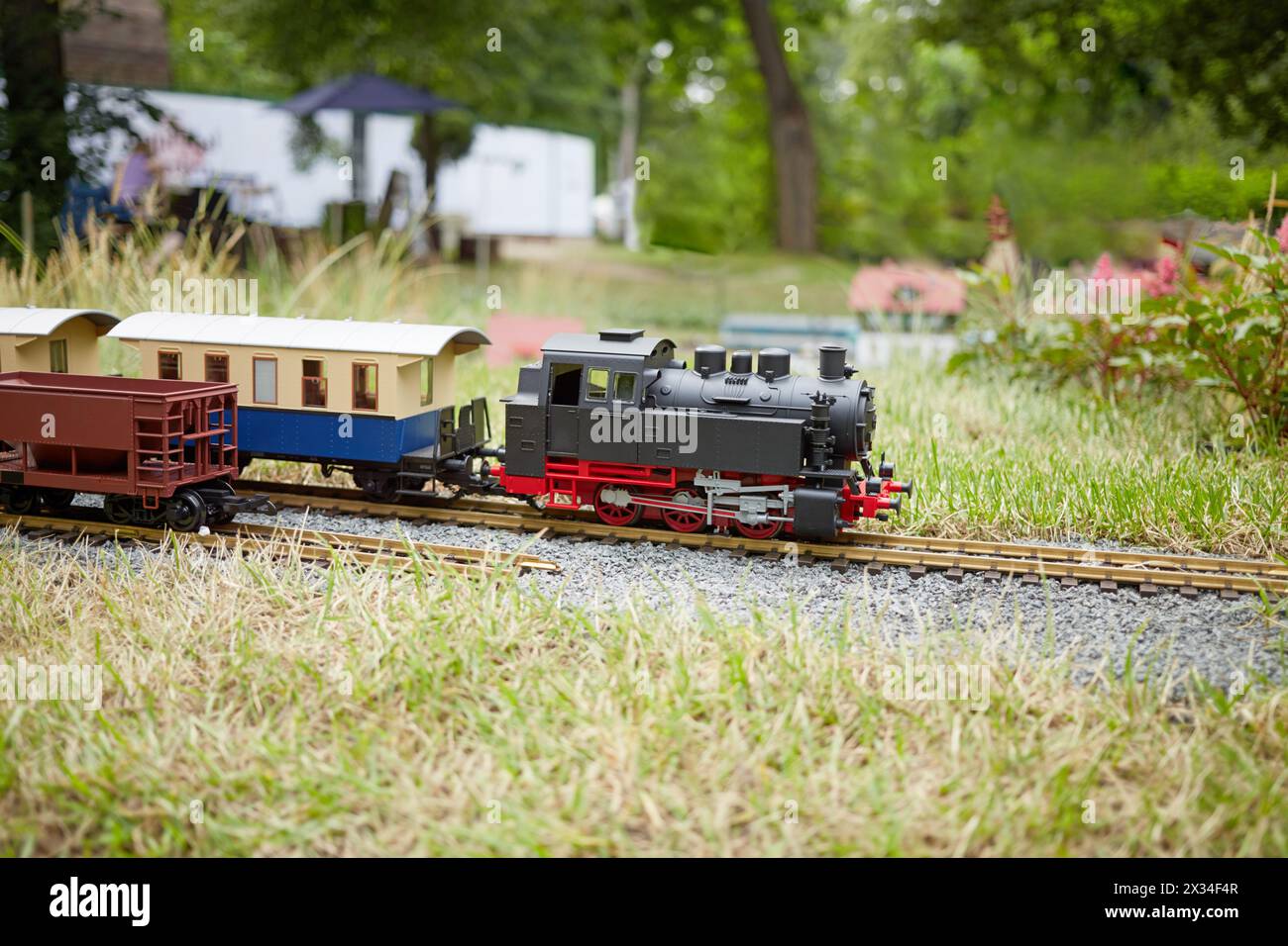 Layout of railway with locomotive and carriages in park Stock Photo - Alamy
