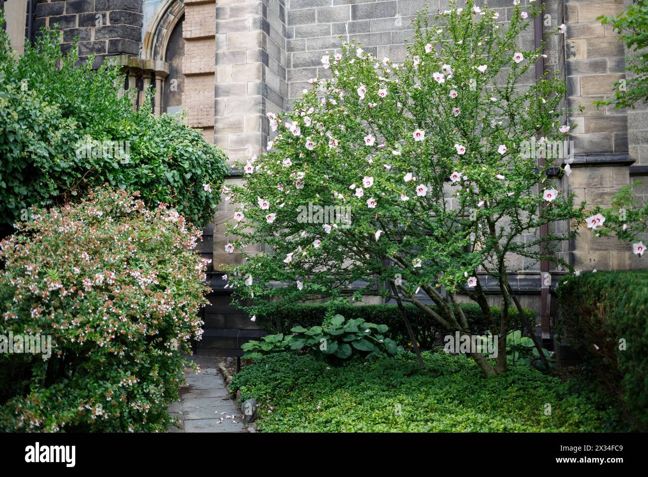 Building grey stone mansion facade hi-res stock photography and images ...