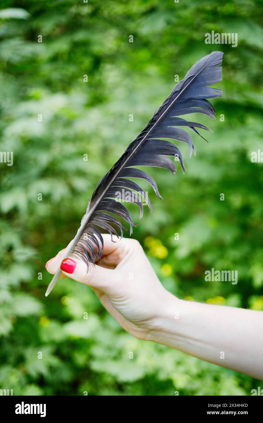 Female hand holds old damaged bird feather against green foliage Stock ...