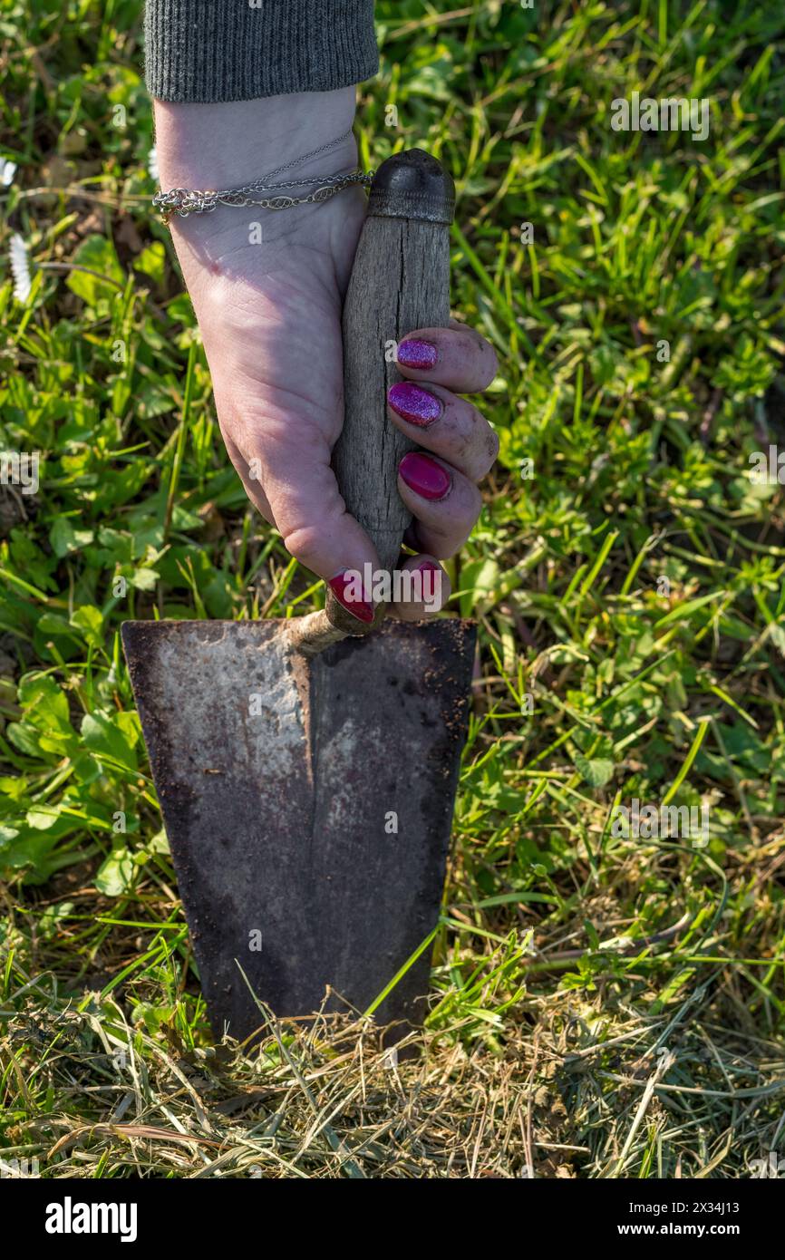 Dirty woman's hand working in the vegetable garden with a trowel. Well ...