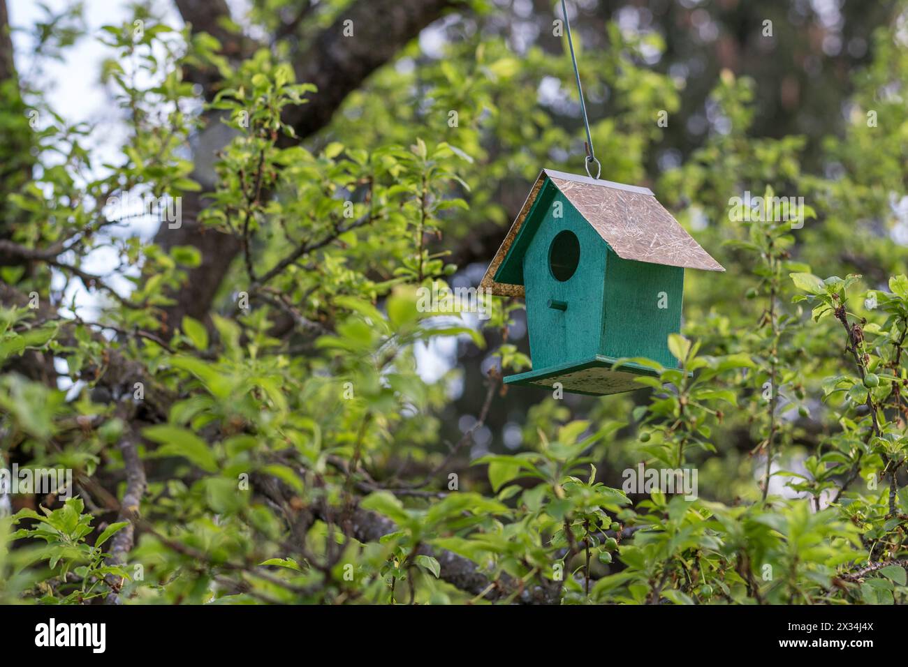Handcrafted suspended tree birdhouse, immersed in the greenery of ...