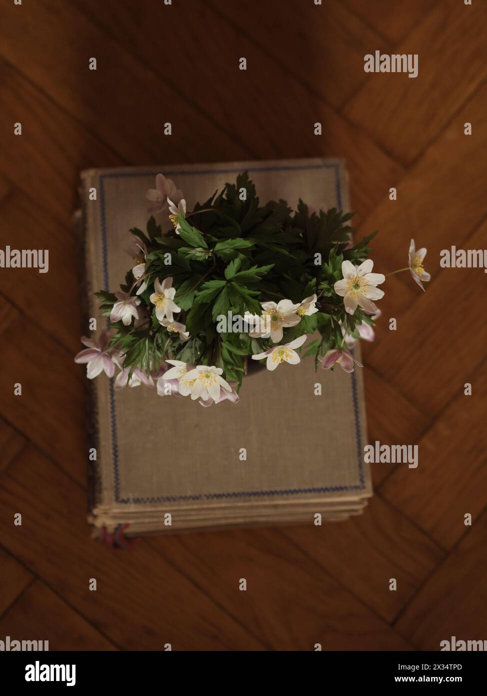Pile books on floor closet hi-res stock photography and images - Alamy