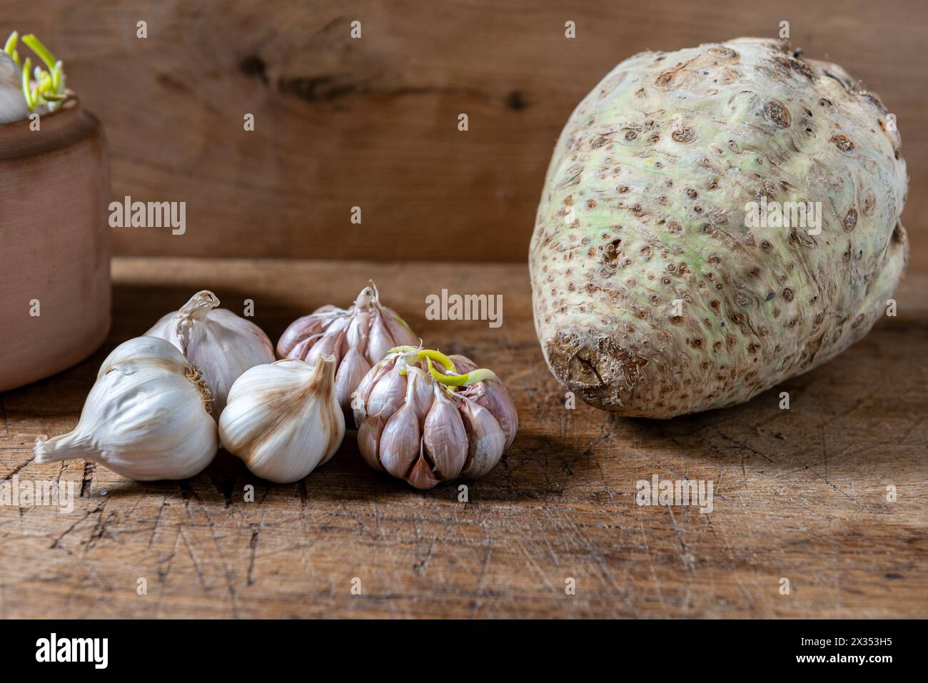 Garlic roots hi-res stock photography and images - Alamy