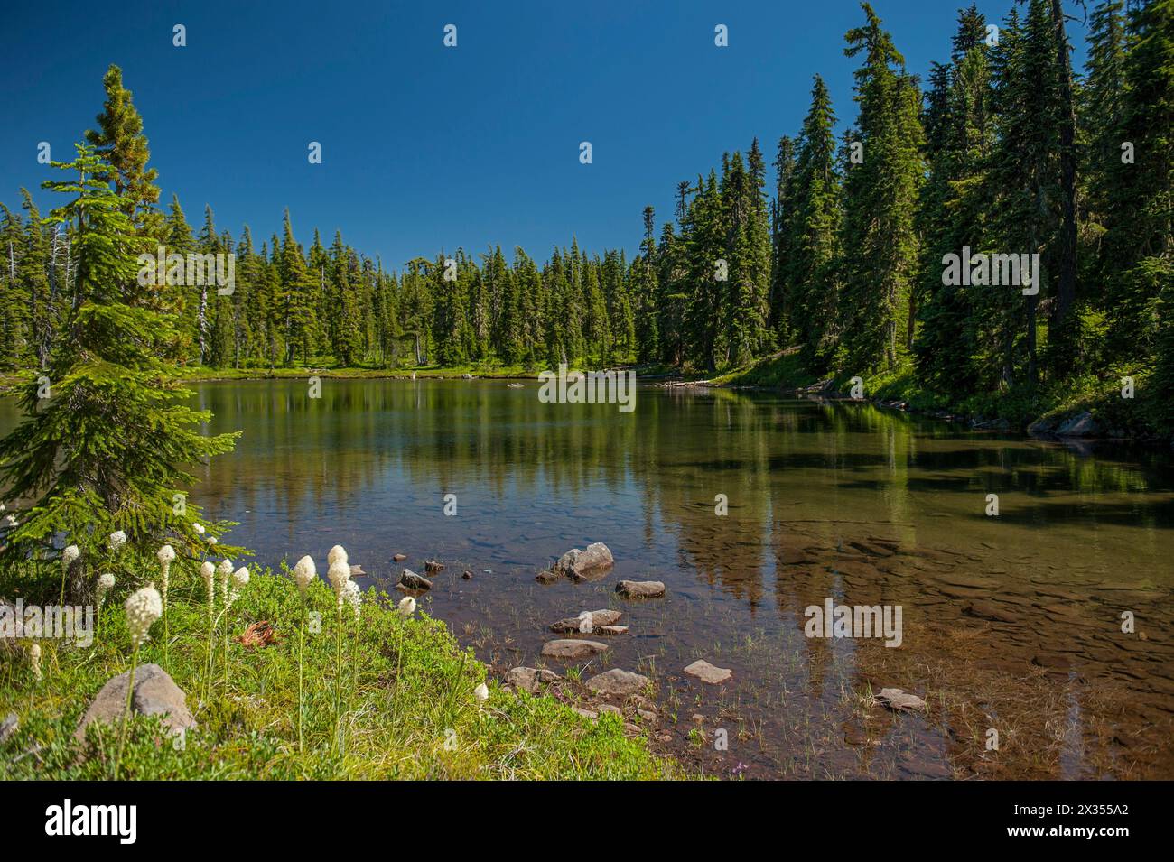 Spoon Lake, near the Olallie Scenic Area on land now owned by the ...