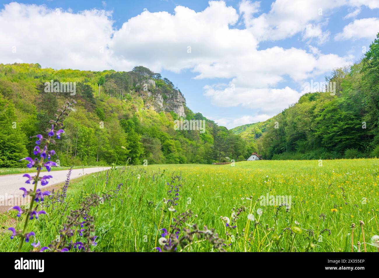 Ungarstein hi-res stock photography and images - Alamy