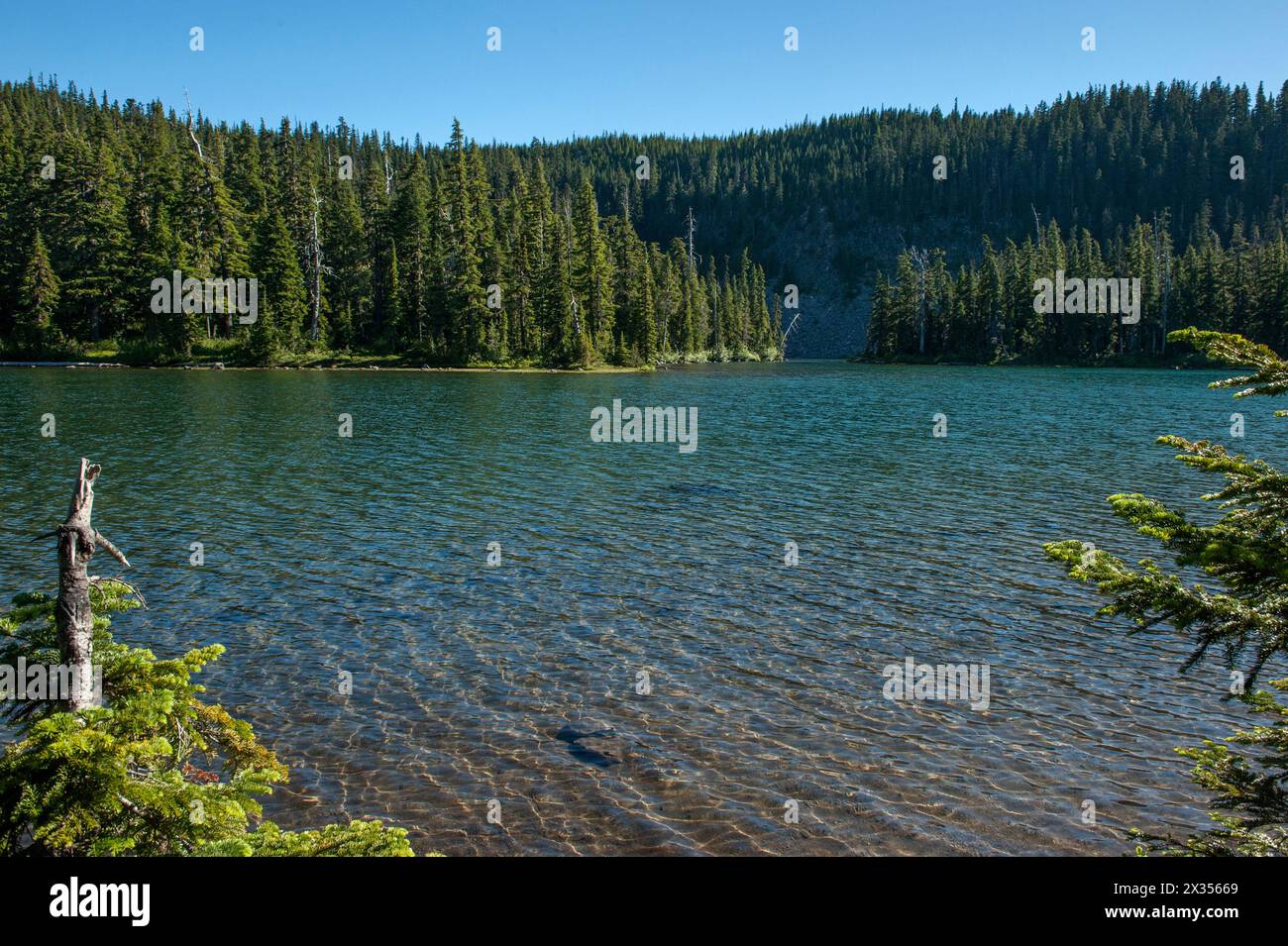 Horseshoe Lake, in the Olallie Lake Scenic Area, before the 2020 Lions ...