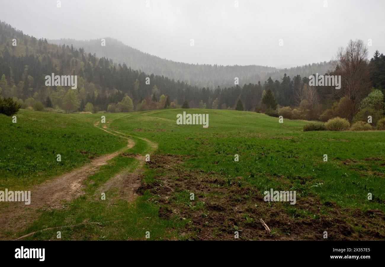 Leska Trail, Risnjak National Park, Croatia Stock Photo - Alamy