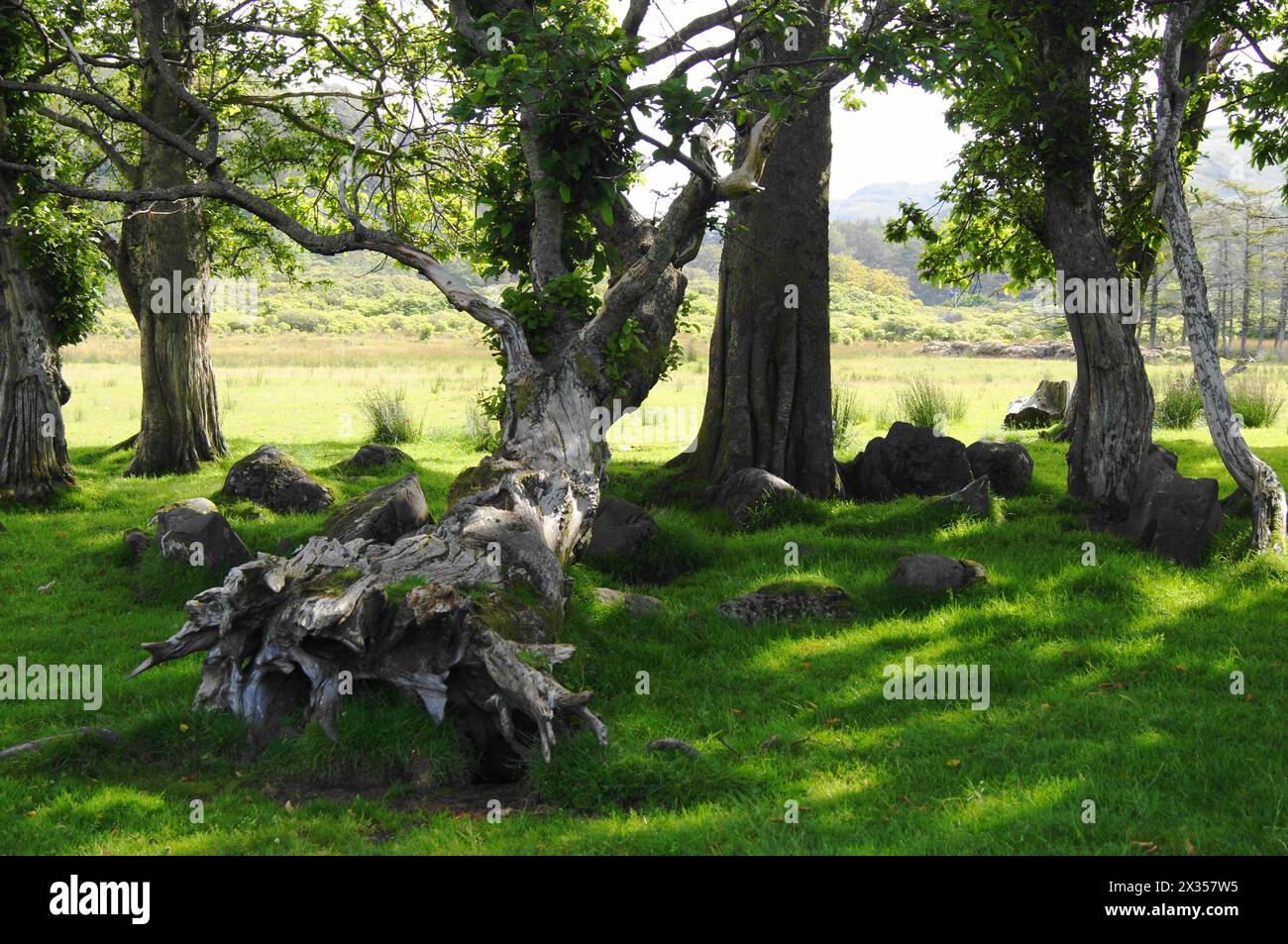 Near the Neolithic Bronze Ages Standing Stones at Lochbuie, Isle of ...