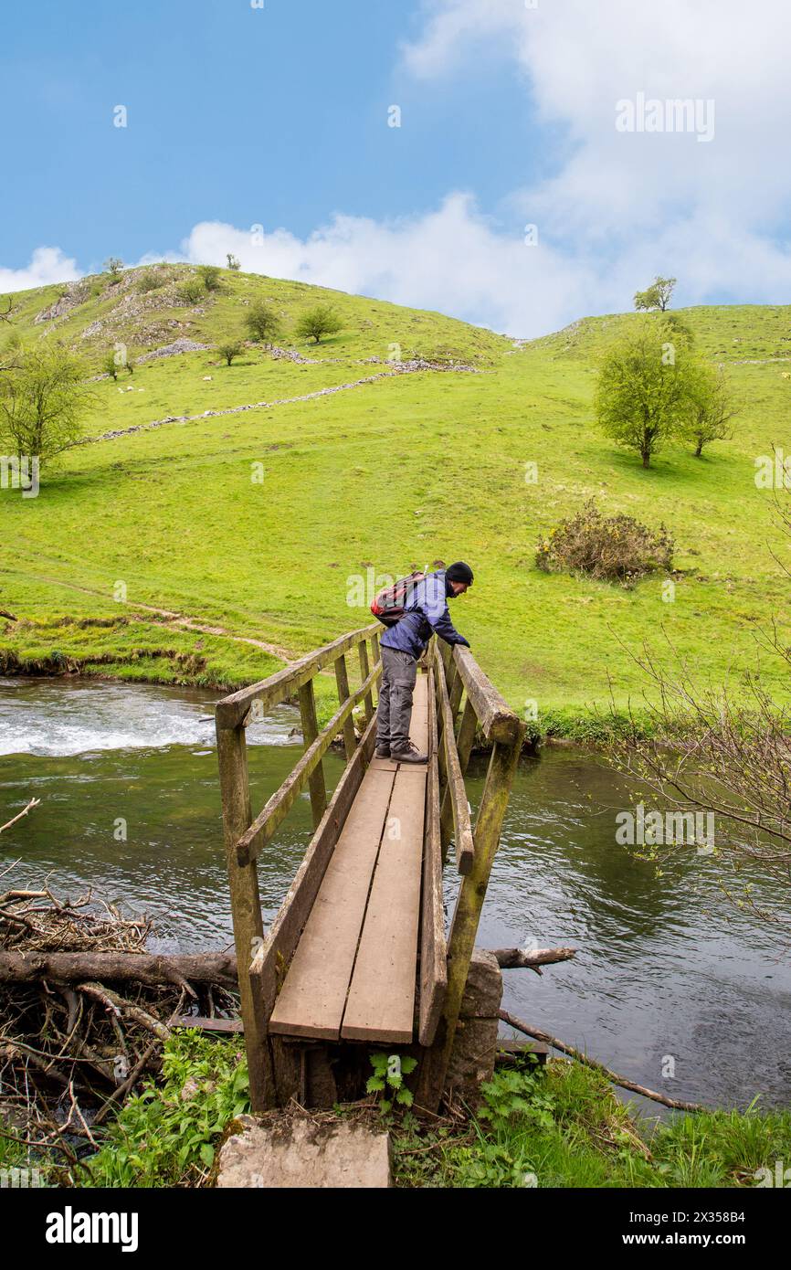 Man walking backpacking on wooden footbridge over the River Dove in ...