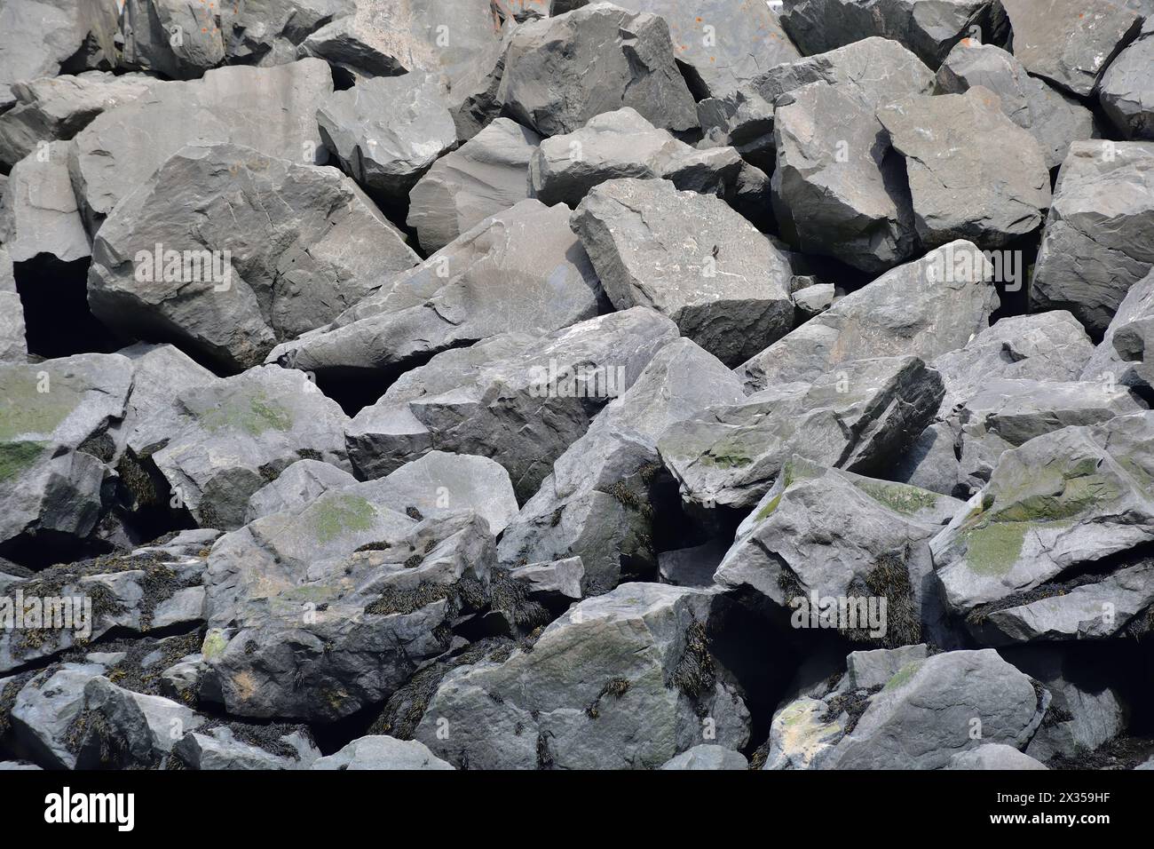 Grey boulder hi-res stock photography and images - Alamy