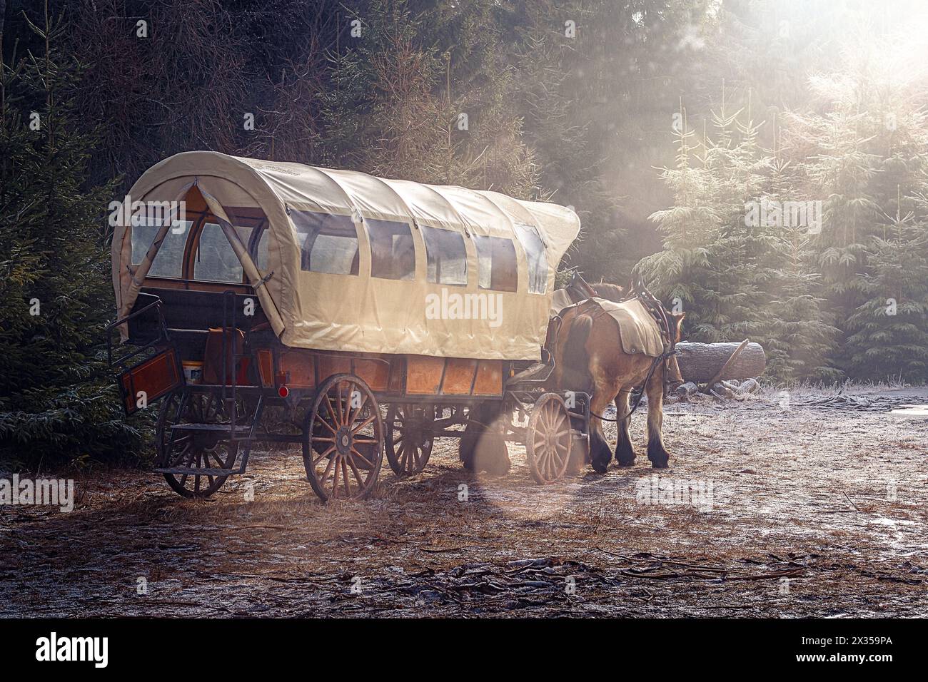 Vintage horse buggy trees hi-res stock photography and images - Alamy
