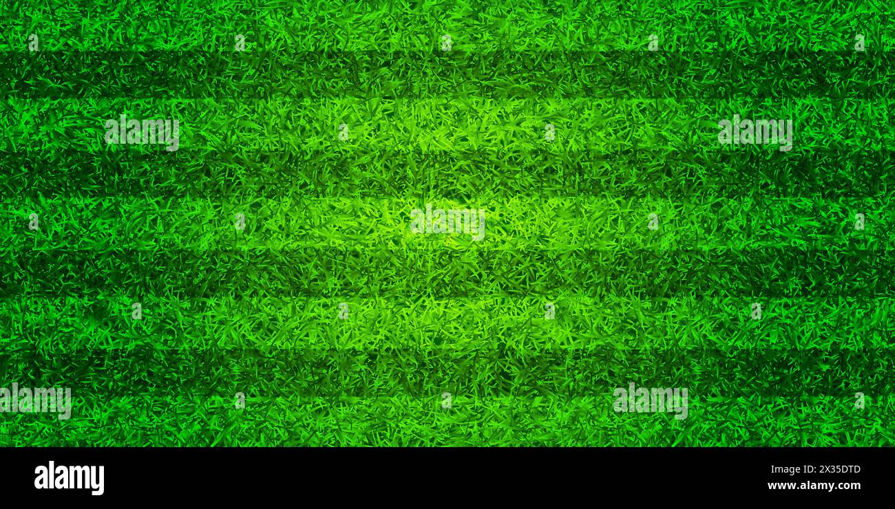 Soccer playing field with green grass. Football pitch background with ...