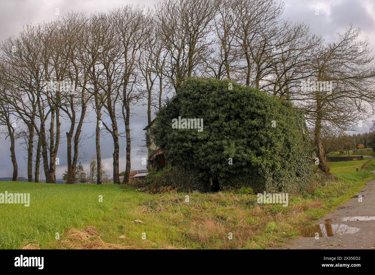 Countryside in galicia spain full hi-res stock photography and images ...