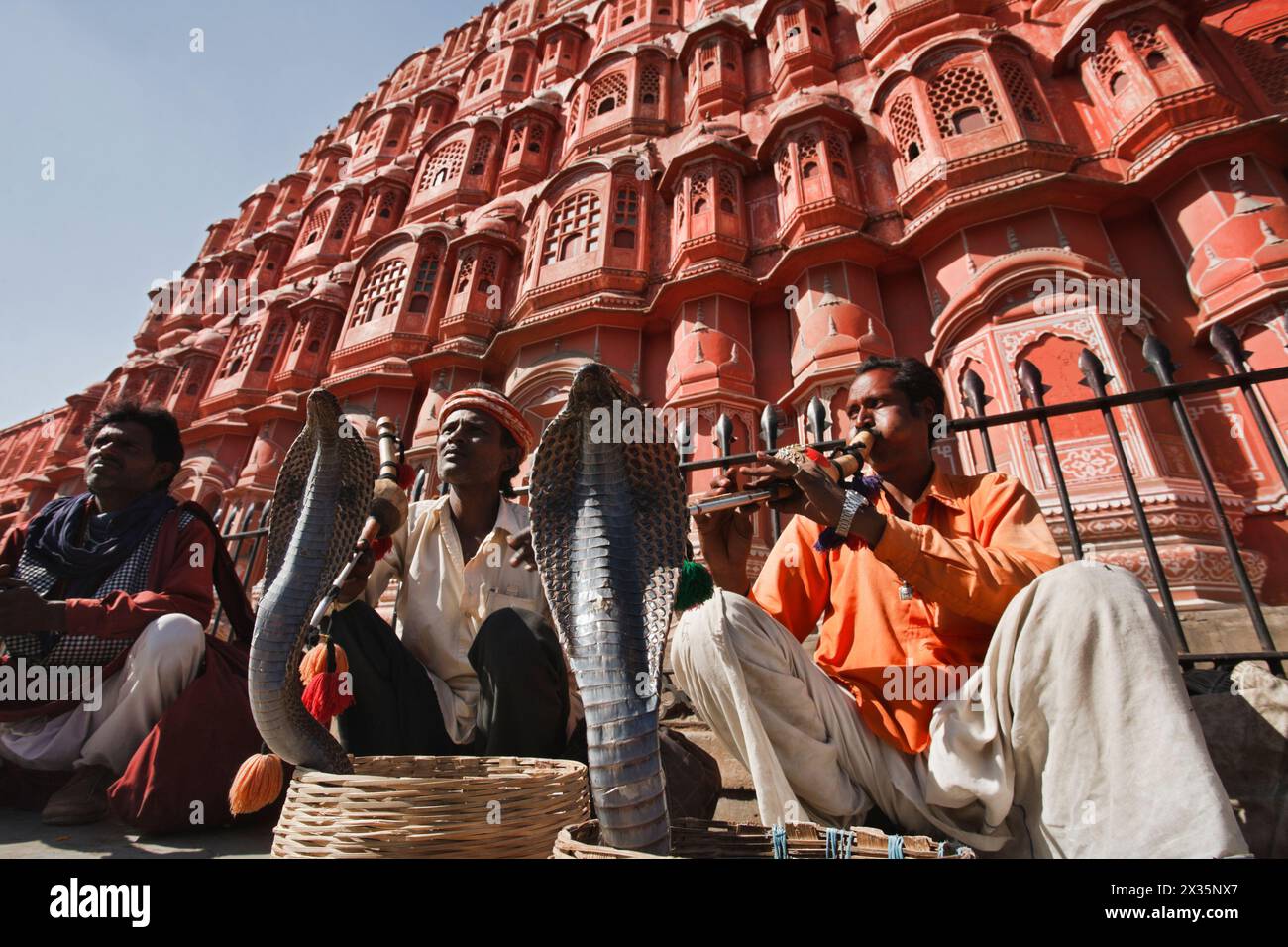 India. Rajasthan, Jaipur, snake charmers make two king cobras ...