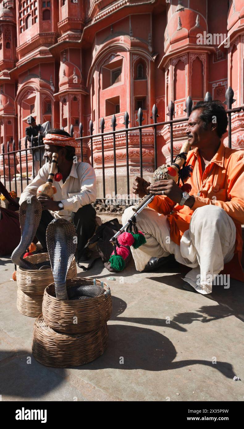 India. Rajasthan, Jaipur, snake charmers make two king cobras ...